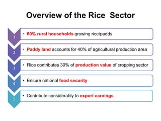 The Rice Sector in Vietnam and Policy Development-Paramaribo | PPTX