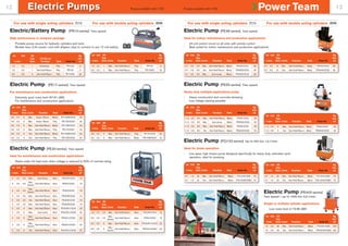 POWER TEAM Mini Cat | PDF