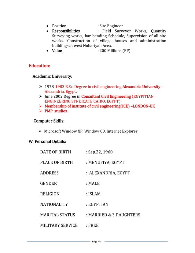 C.V. small size | PDF