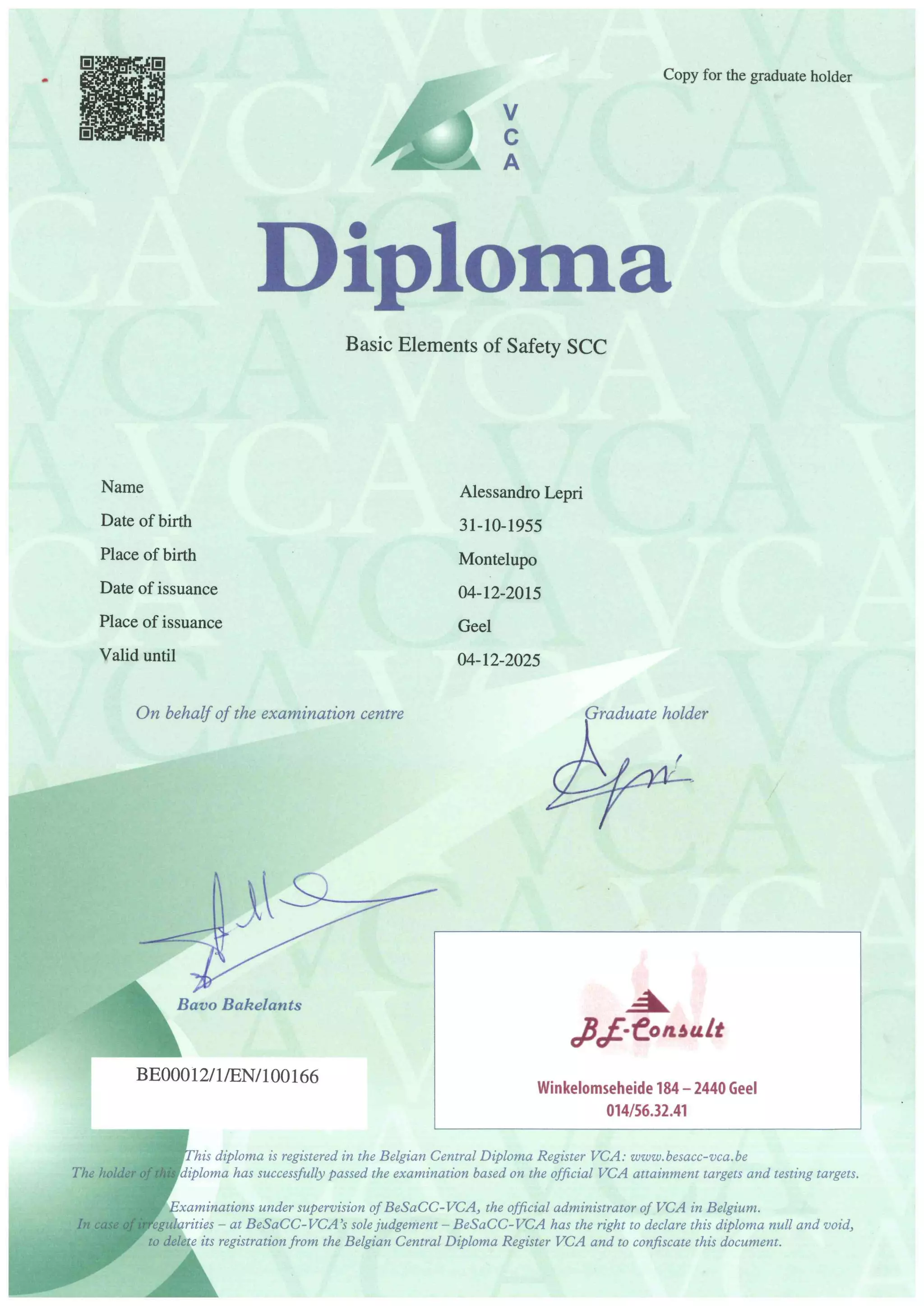 VCA - BASIC ELEMENTS OF SAFETY SCC | PDF