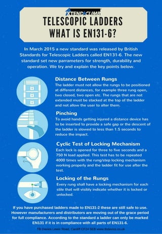 EN131-6 Telescopic Ladder Standard | PDF