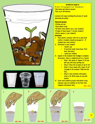 Seed Time_Lessons 1 &2 | PDF