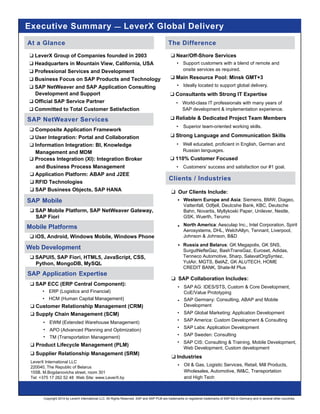 LeverX International - Company Overview One-Pager (EN) | PDF