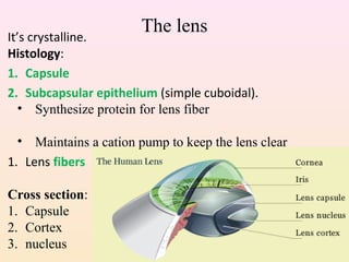 6cataract-170310120227.pdf