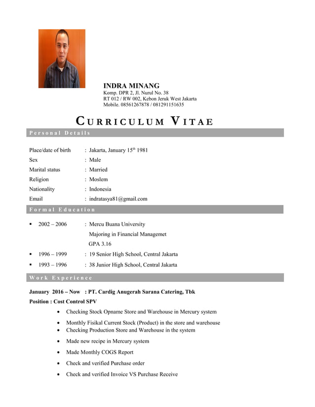CV INDRA | PDF
