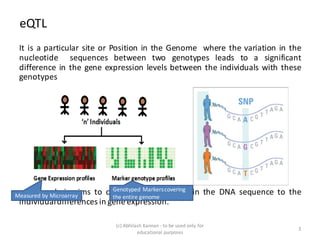 presentation for PhD | PPT