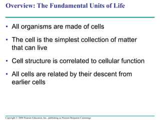 6_Cell Structure and Detailed Overview.pdf