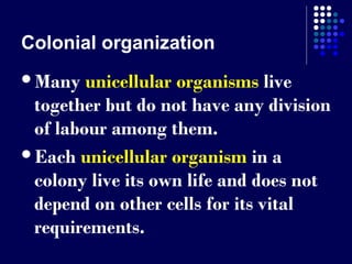 6 cellular organization | PPT