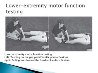 Chapter 6 cervical spine injuries | PPTX