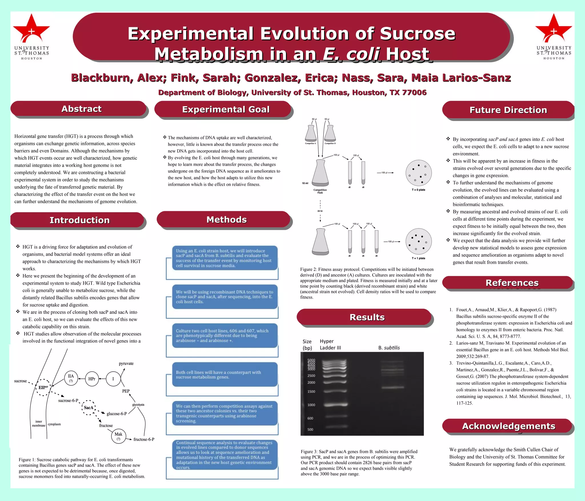Research Symposium Poster Draft | PPT