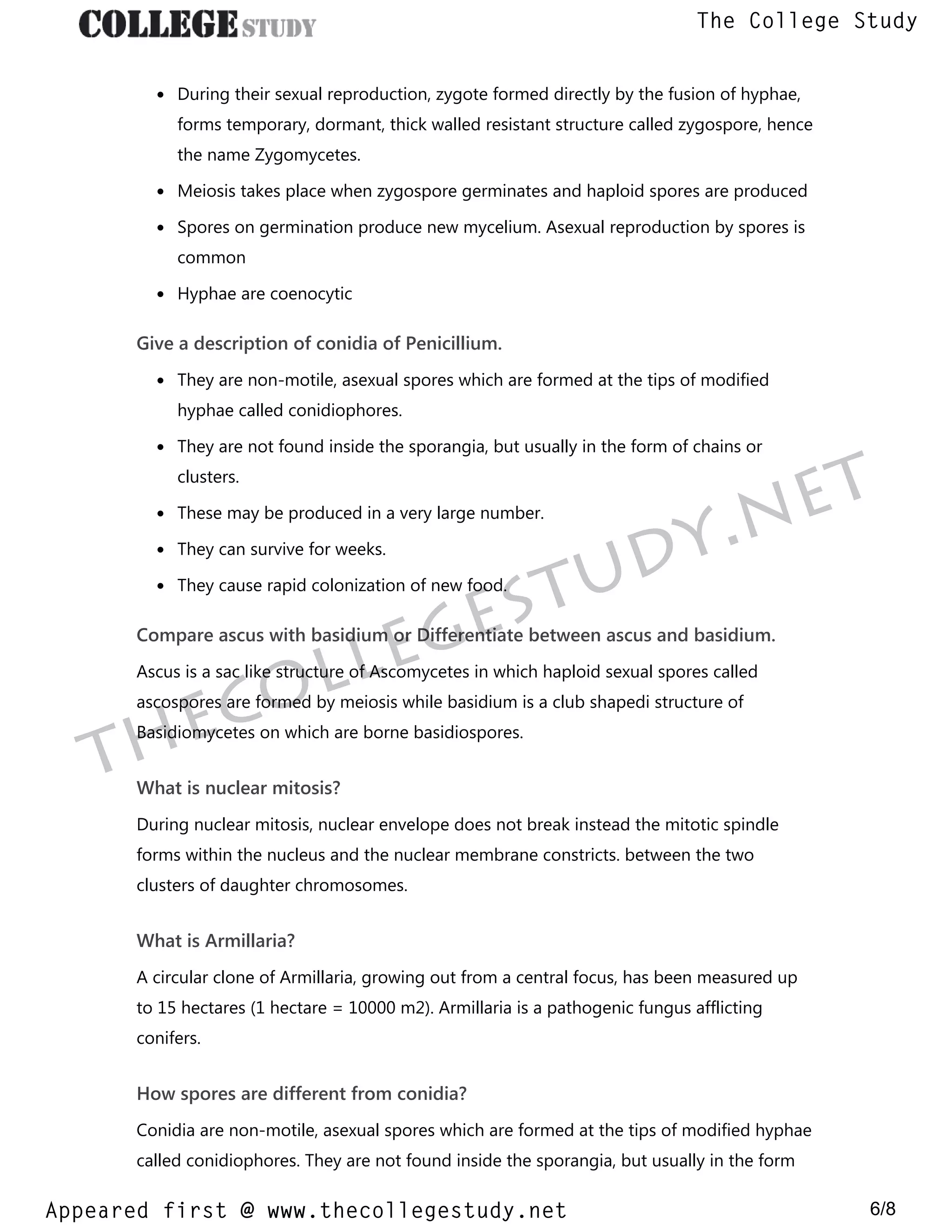 6 chap 8 (kingdom fungi) f.sc 1st year biology helping notes | PDF