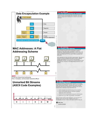 data link layer concepts by cisco | DOCX