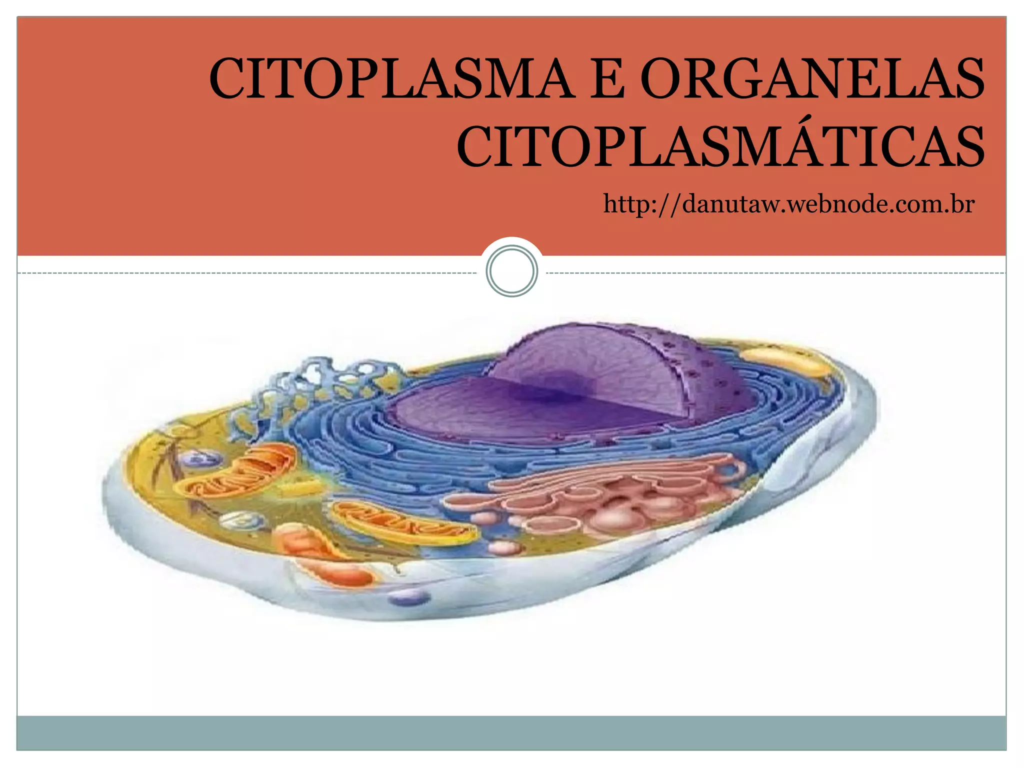 Organelas e citoplasma | PPT