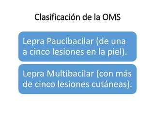6 Clasificacion.pptx