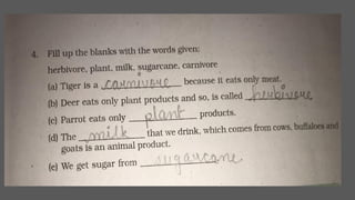 class 6 science chapter 1 food: where does it comes from? | PDF