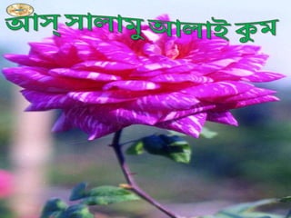 class 6 akhrat | PPT