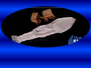 class 6 akhrat | PPT