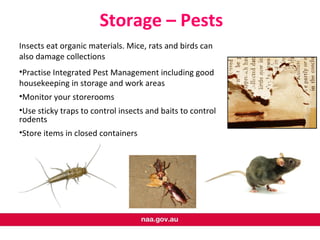 Storage and handling collections - Ian Batterham | PPT