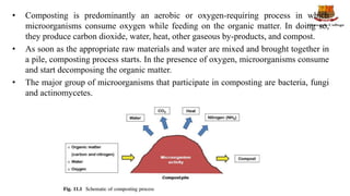 Composting: stages & factors affecting | PPTX