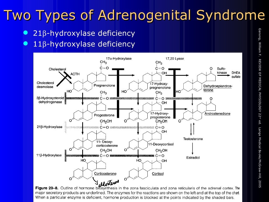 Congenital Adrenal Hyperplasia Chart