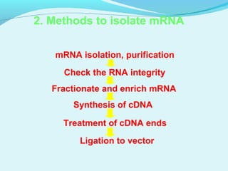 construction of genomicc dna libraries | PPT