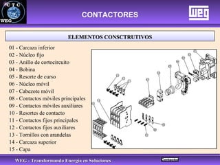 6 contactores | PPT