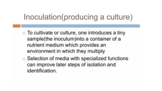 Culturing, inoculation and identification - Microbiology for Lab ...