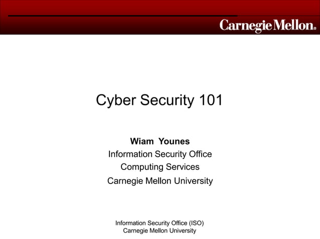 6 Cyber Security Introduction - sec101-idtheft .pptx