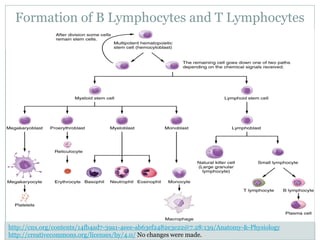 6d. Enzyme-Linked ImmunoSorbant Assay (ELISA)-PowerPoint.pdf