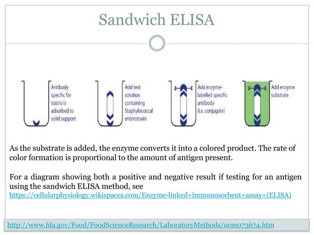 6d. Enzyme-Linked ImmunoSorbant Assay (ELISA)-PowerPoint.pptx | Chemistry | Science