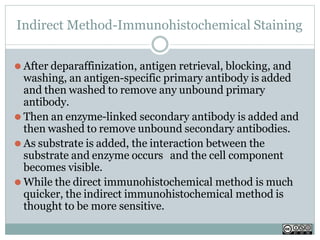 6d. Enzyme-Linked ImmunoSorbant Assay (ELISA)-PowerPoint.pptx