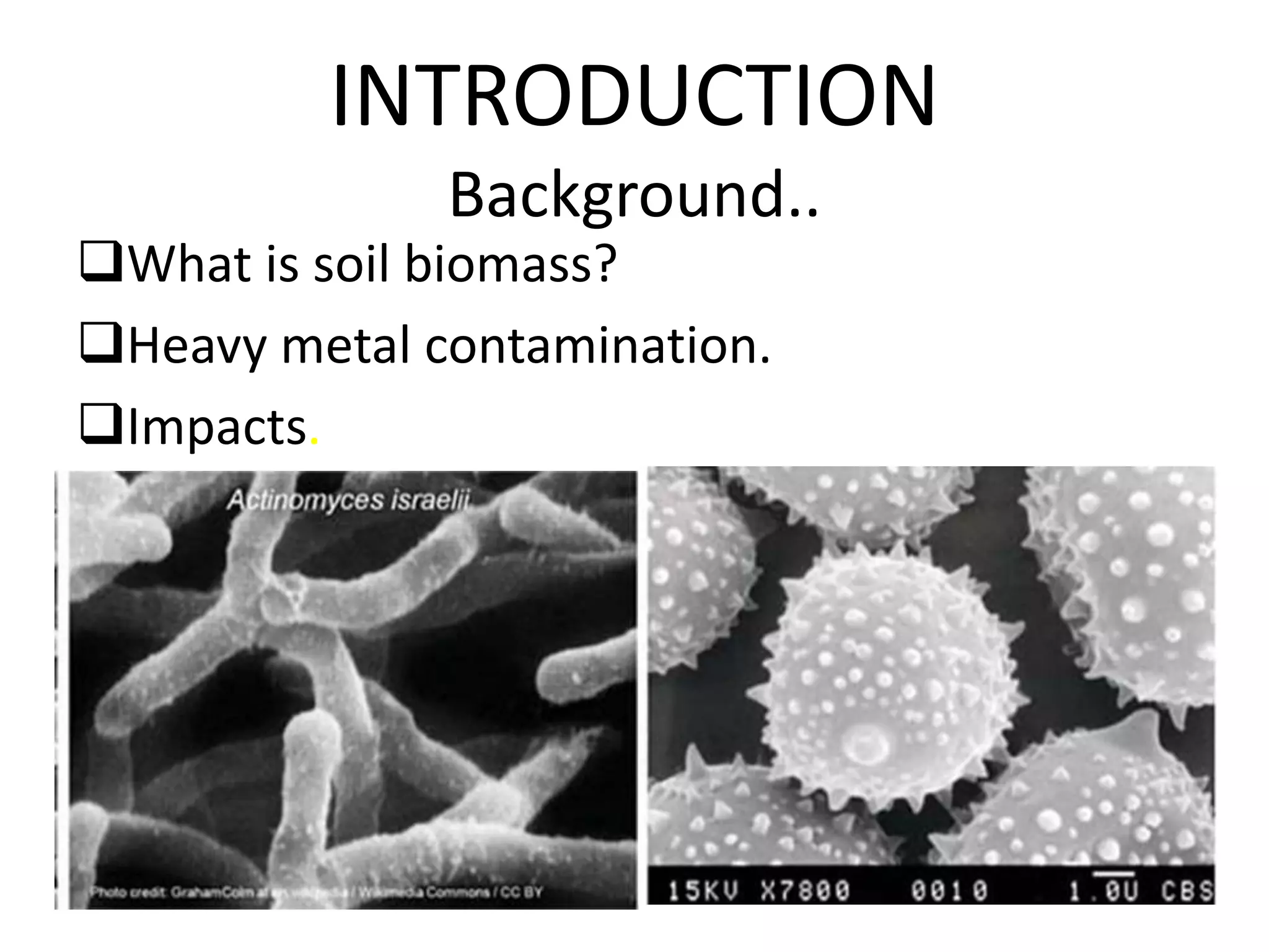 EFFECTS OF HEAVY METAL CONTAMINATION ON SOIL MICROBIAL | PPTX