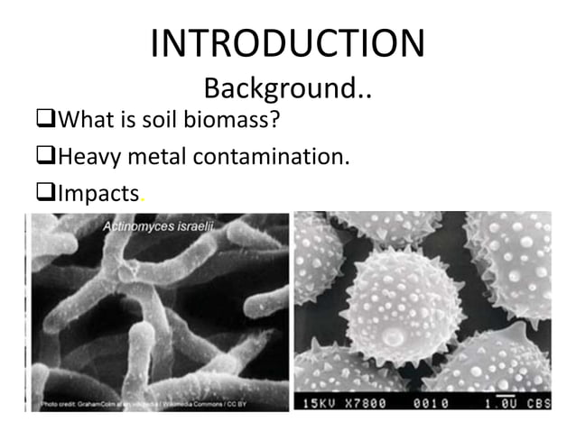 EFFECTS OF HEAVY METAL CONTAMINATION ON SOIL MICROBIAL | PPT
