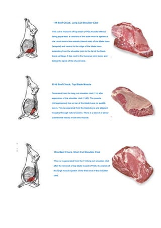 BEEF2 | PDF