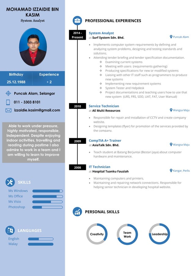 PROFESSIONAL EXPERIENCE | PDF