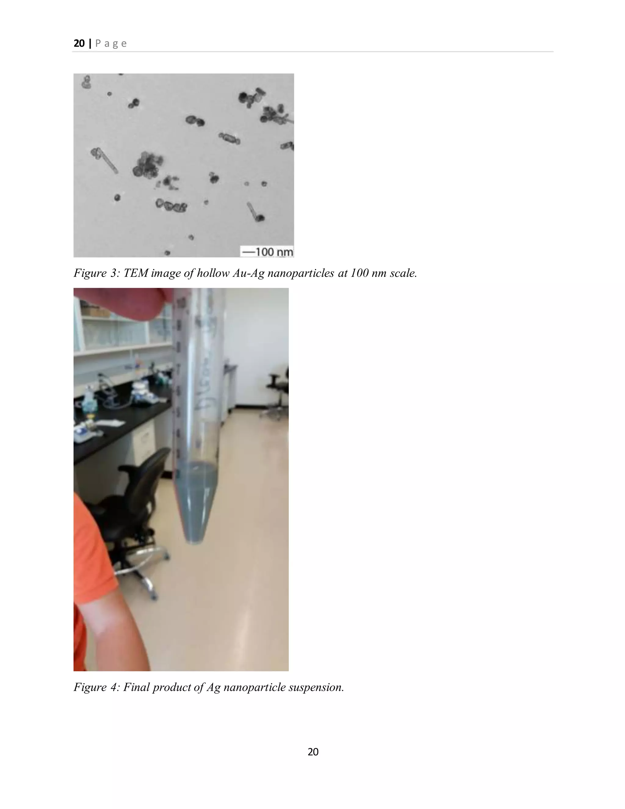 Examples of Various Imaging Techniques- SEM, AFM, TEM and Fluorescence | PDF
