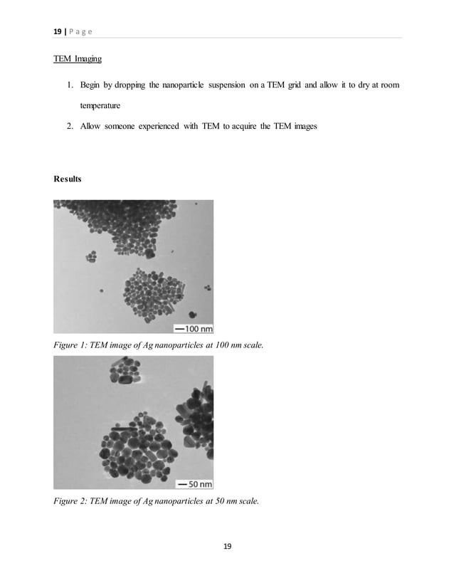 Examples of Various Imaging Techniques- SEM, AFM, TEM and Fluorescence | PDF