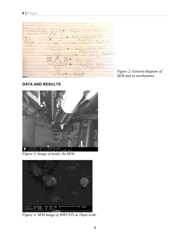 Examples of Various Imaging Techniques- SEM, AFM, TEM and Fluorescence ...