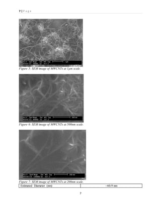 Examples of Various Imaging Techniques- SEM, AFM, TEM and Fluorescence ...
