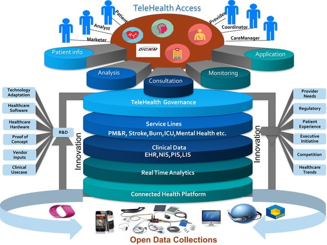 TeleHealth_TechnologyRoadMap | PDF