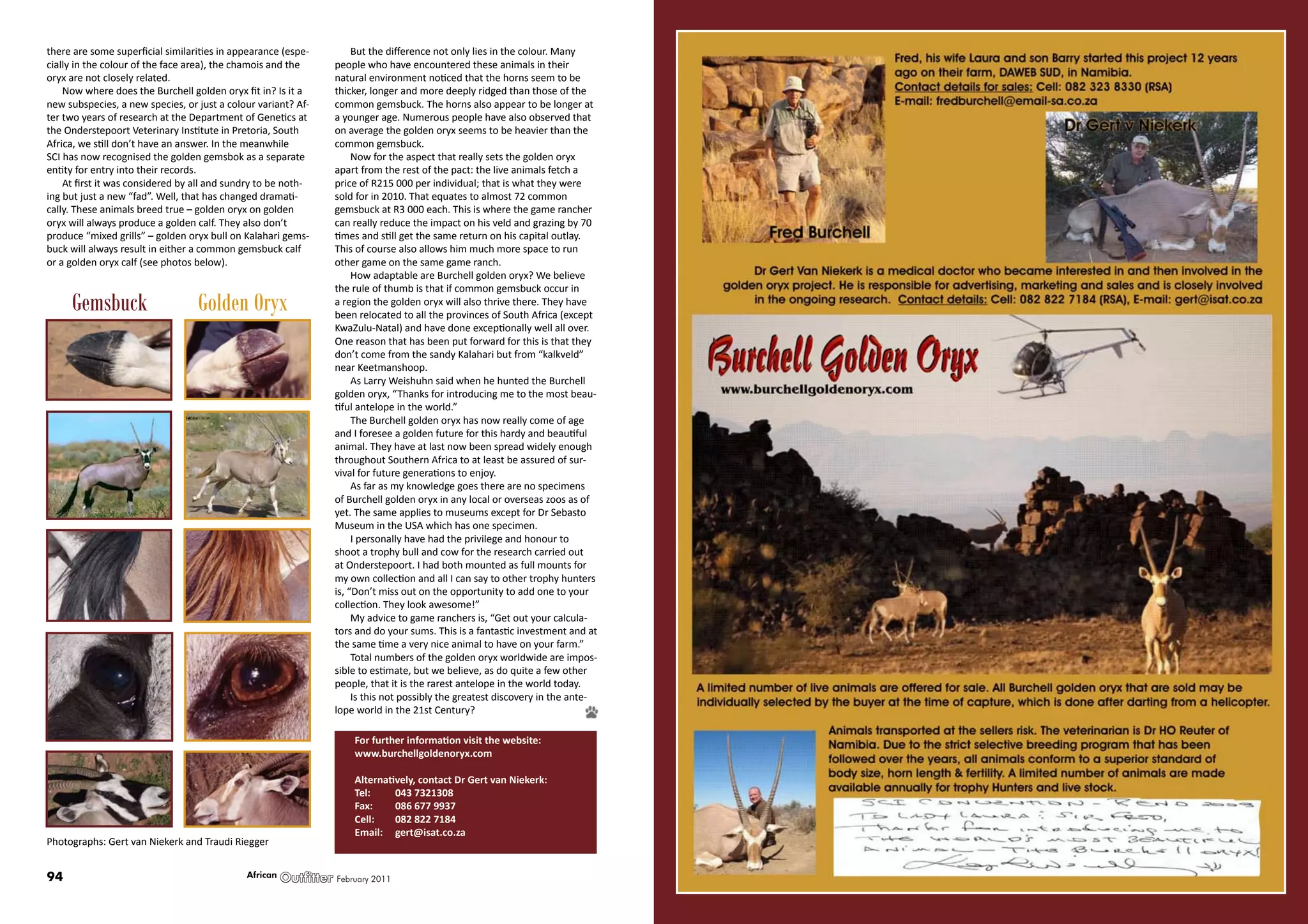 golden oryx AFRICAN OUTFITTER ARTICLE | PDF