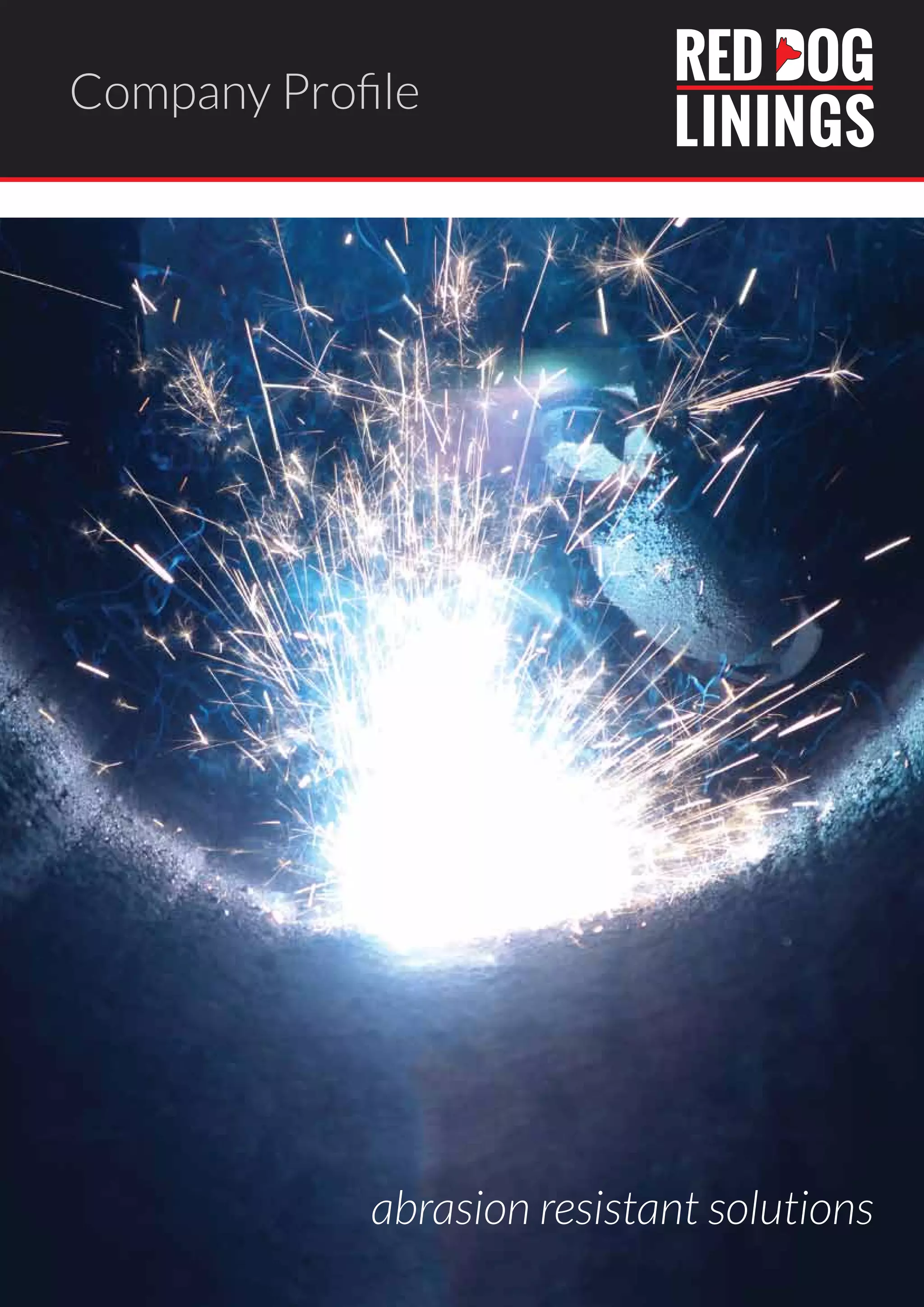 RDL Company Profile low res | PDF