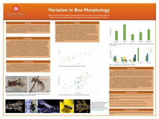 Bee Poster_ | PPT