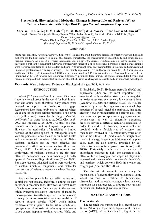 wheat article samar final reprint 2014 ok | PDF