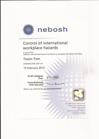 NEBOSH IGC 2 Certificate | PDF | Medical Health