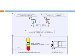 Comparative Genomic Hybridization | PPTX