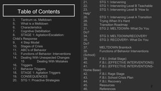 Meltdowns. Final Presentation | PPTX