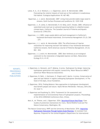 Opperman CV 010317 | PDF