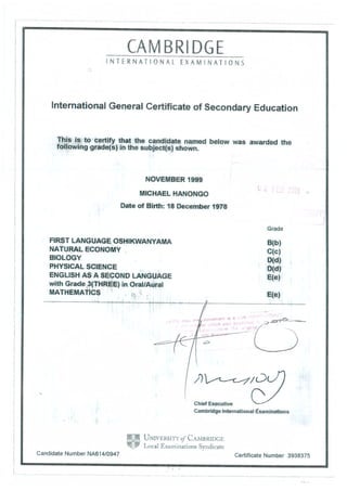 Cv Michael Hanongo | PDF