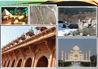 Portfolio_himalaya A3 R | PDF